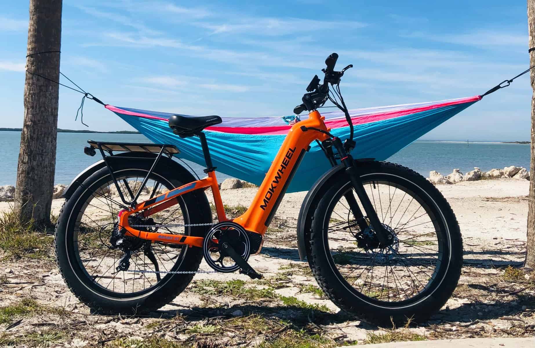 Mokwheel Basalt ST 2.0 eBike Review: Fun and fast bike for errands and ...